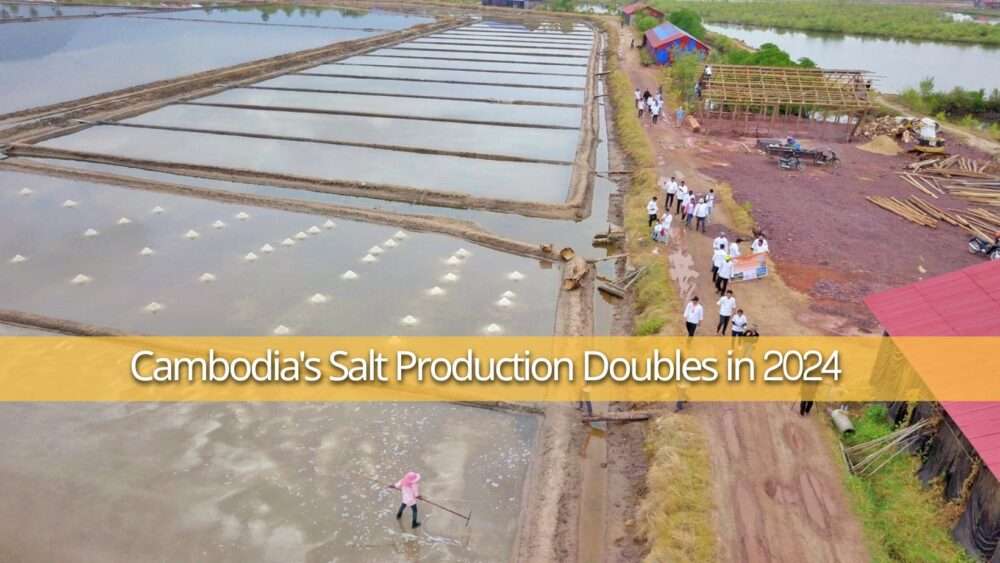 Cambodia’s Salt Production Doubles, Leading to Record Exports in 2024 ...