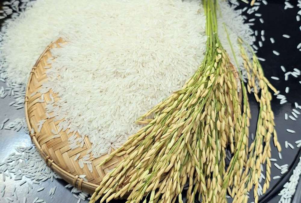 Cambodia Achieves Over 130,000 Tonnes of Rice Exports in First Two ...