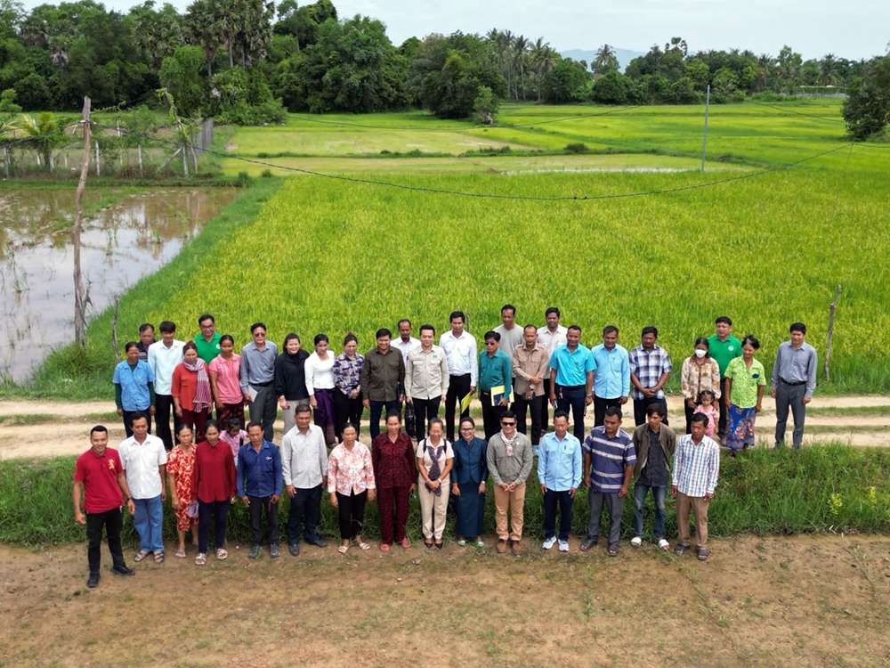 Tram Kak Vegetable, Chicken Farmers Secure US$1.2M CASDP Grant for ...