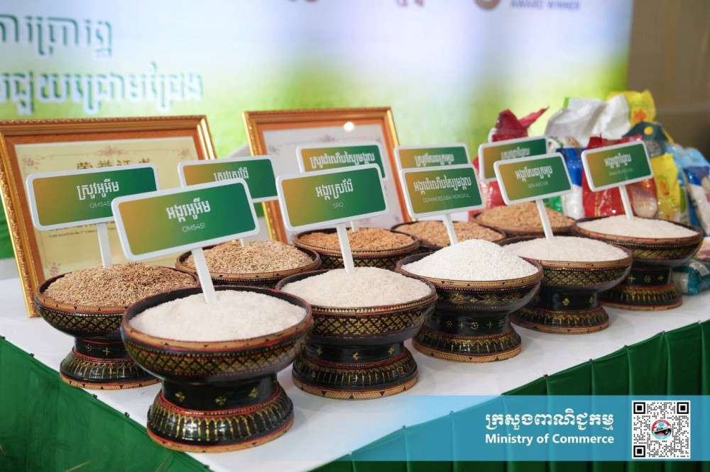 Cambodia Launches ‘Resilient Seeds’ Project to Modernize Rice Sector ...